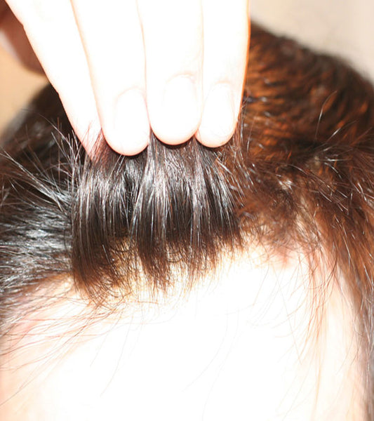 French lace front & PU perimeter (SHS-3) – Stock Hair Systems